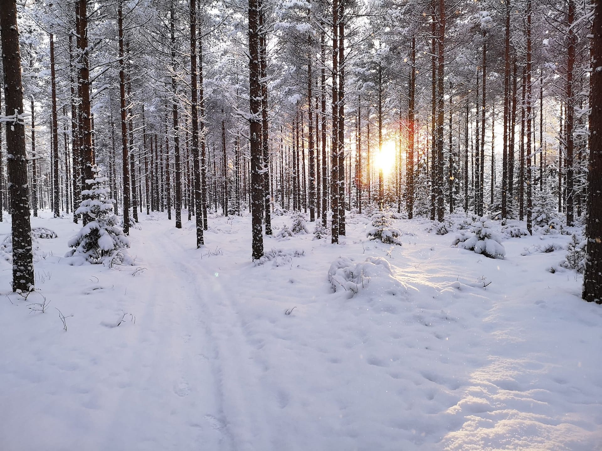 Talkoot - Kokkolan Latu Ry